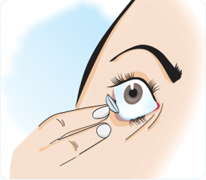 How To Insert Contact Lenses - Bausch