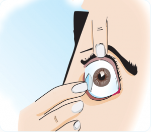 How To Insert Contact Lenses - Bausch